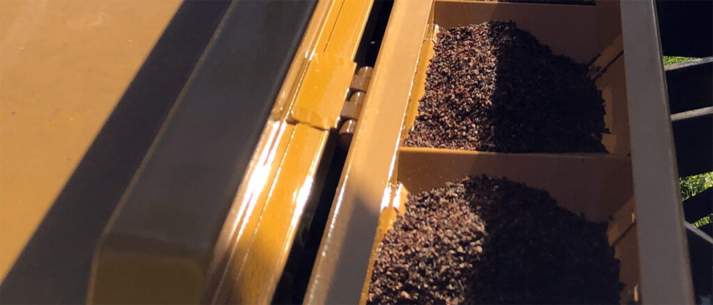 MLA Program recognized STEM Discipline by Board of Regents - UGA ...